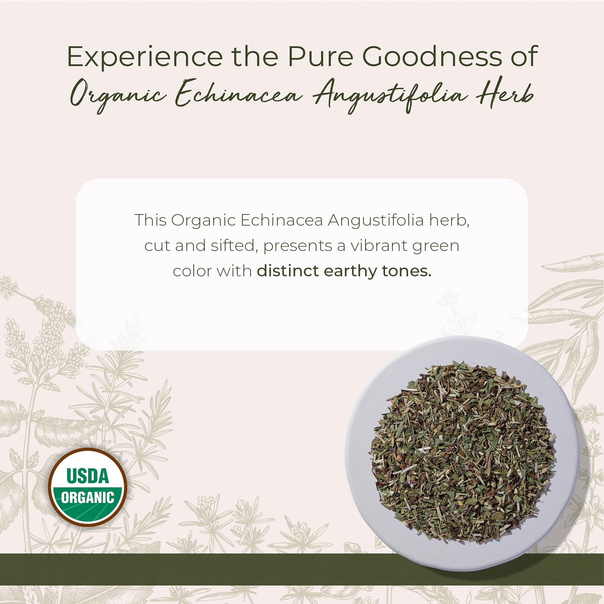 cut and sifted echinacea benefits