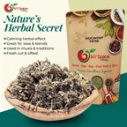 cut and sifted mugwort benefits