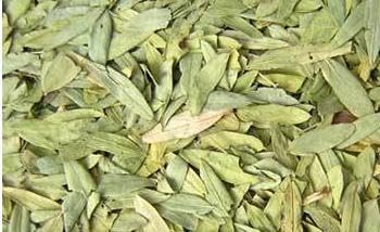 cut and sifted senna leaves