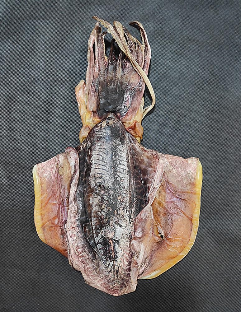 cuttlefish snack with essential nutrients