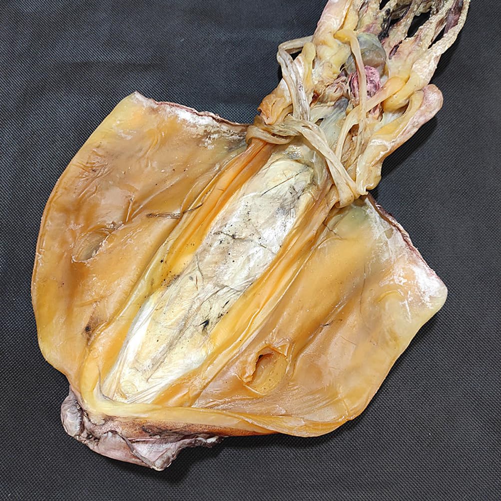 cuttlefish with minerals for vitality