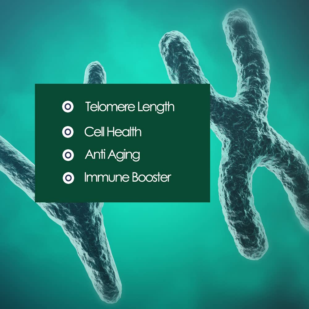 Cycloastragenol multivitamin for immune support