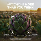 Cynara scolymus herbal remedy