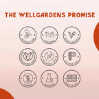 D-Mannose capsules for everyday wellness