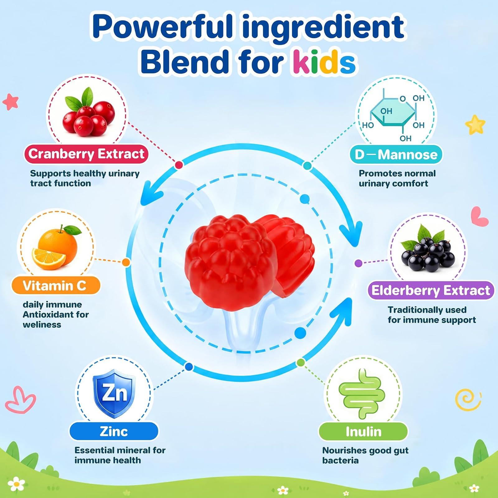D-Mannose enriched cranberry vitamins