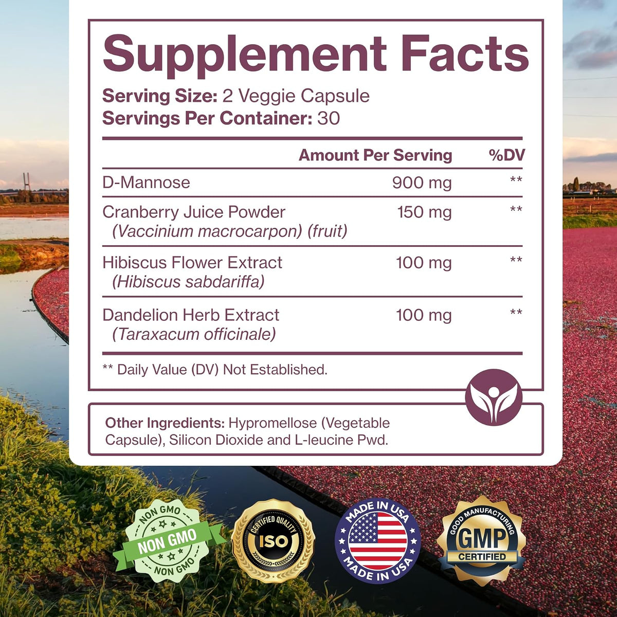D-Mannose for urinary tract support