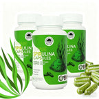 DABC OAK LAND spirulina capsules benefits