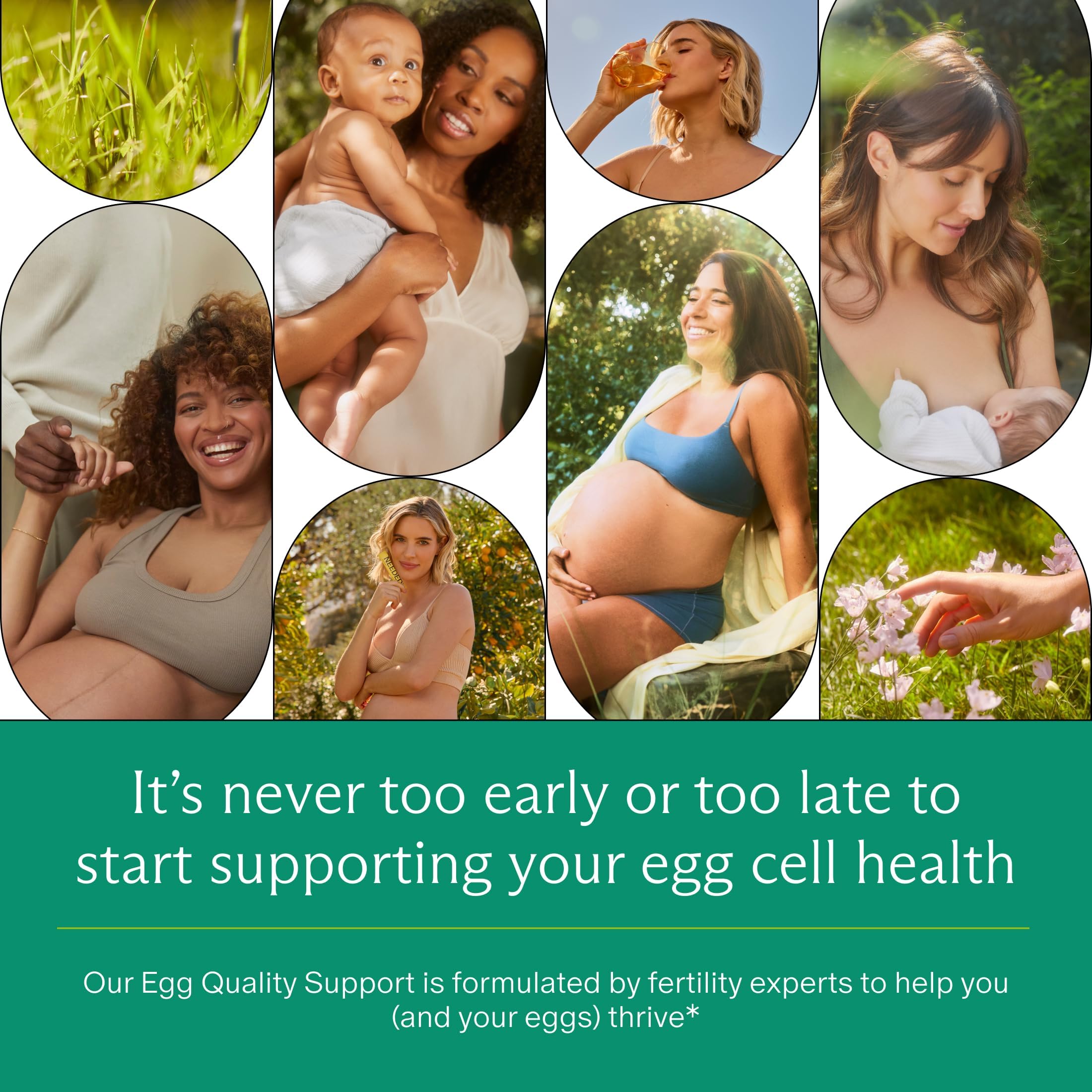 daily acetyl-l-carnitine for women