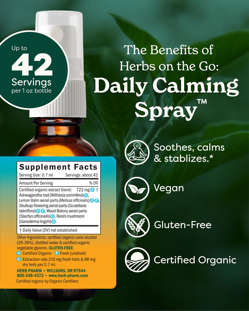 Daily adaptogenic support solution