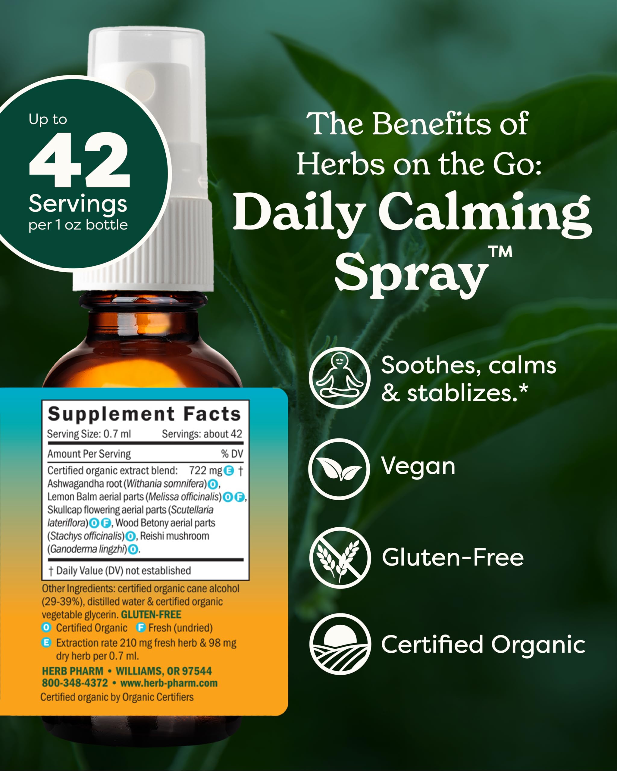 Daily adaptogenic support solution
