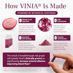 Daily antioxidant supplement for wellness