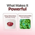 Daily antioxidant supplement ROVINA Astaxanthin