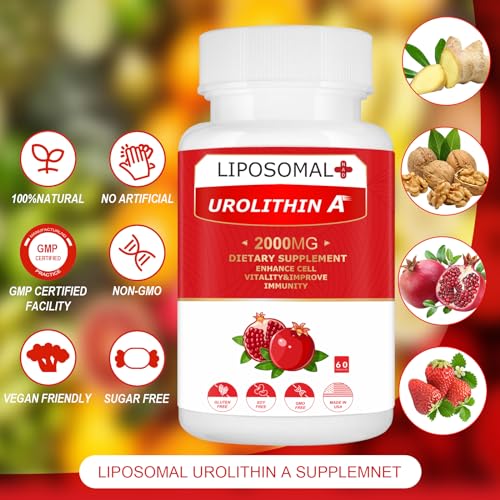 Daily antioxidant support with pomegranate