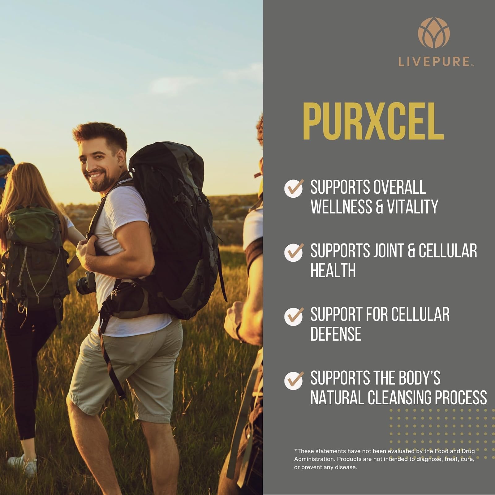 Daily antioxidant support with PURE PurXcel