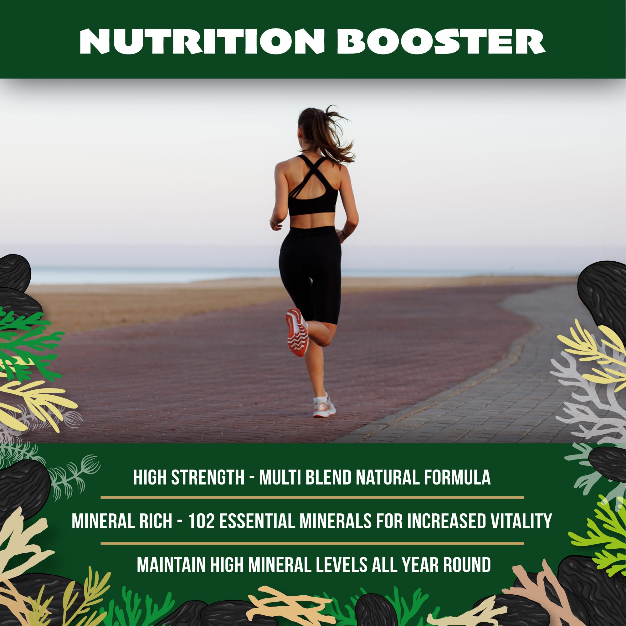 Daily ashwagandha dosage for men