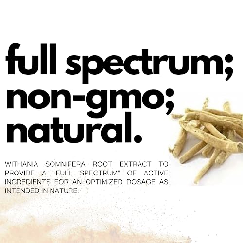 daily ashwagandha dosage for men