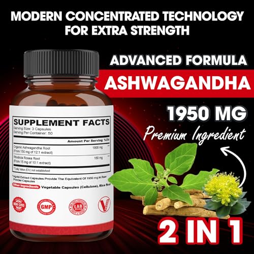 Daily ashwagandha dosage for men