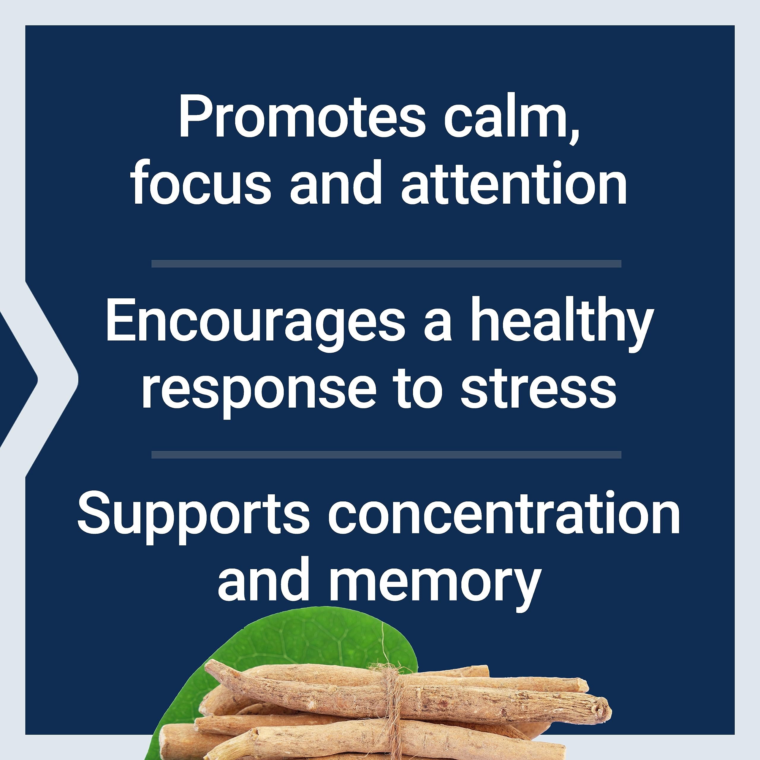 daily ashwagandha dosage for wellness