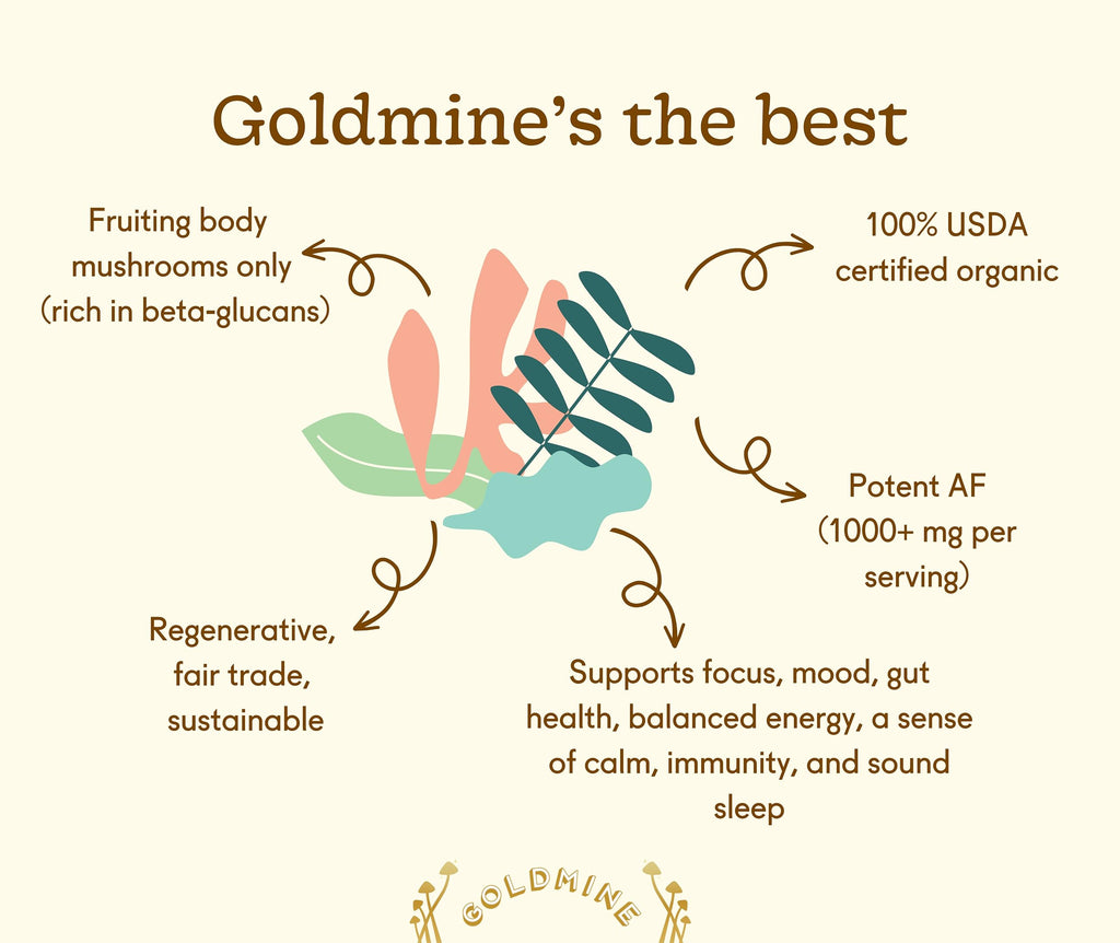 daily balance superfood mushroom powder