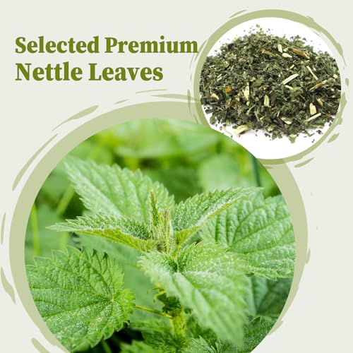 daily balance with nettle tea