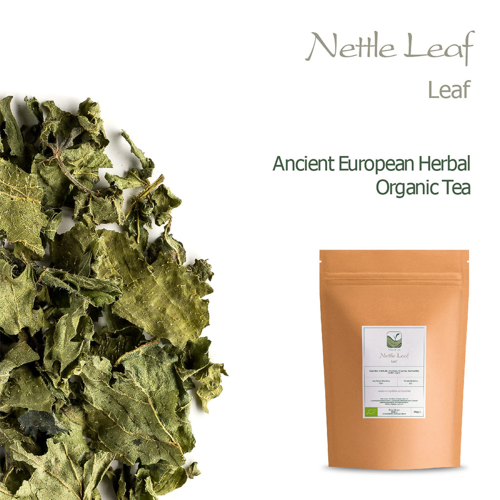 daily benefits of nettle tea