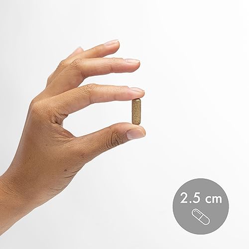 Daily berberine for digestive health