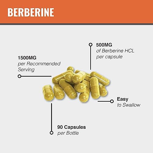 Daily Berberine for optimal health