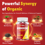 daily berberine support for wellness