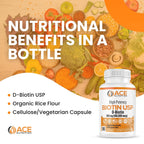daily biotin for energy support