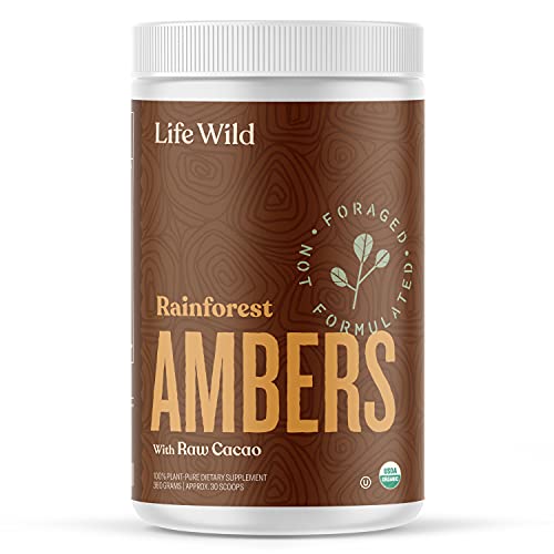 daily blend of mushrooms and cacao