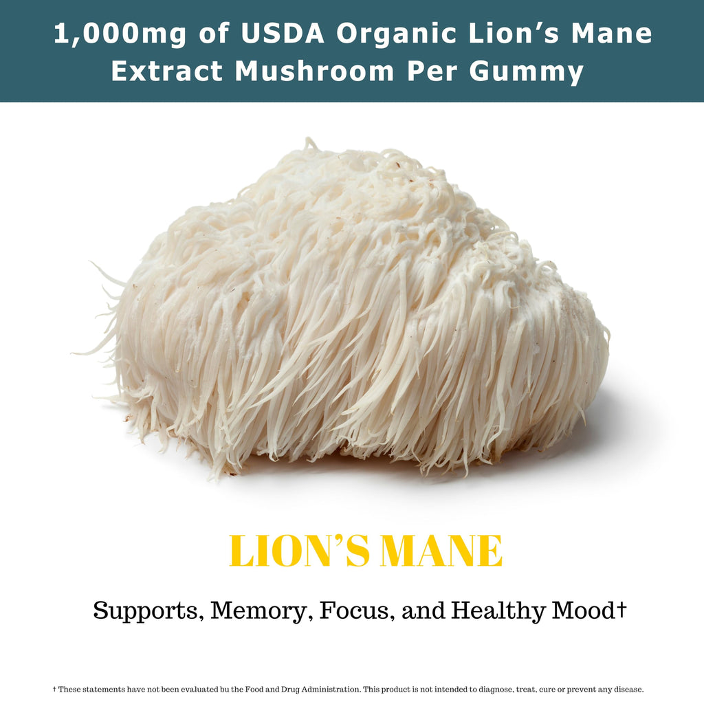 Daily brain health gummies for adults