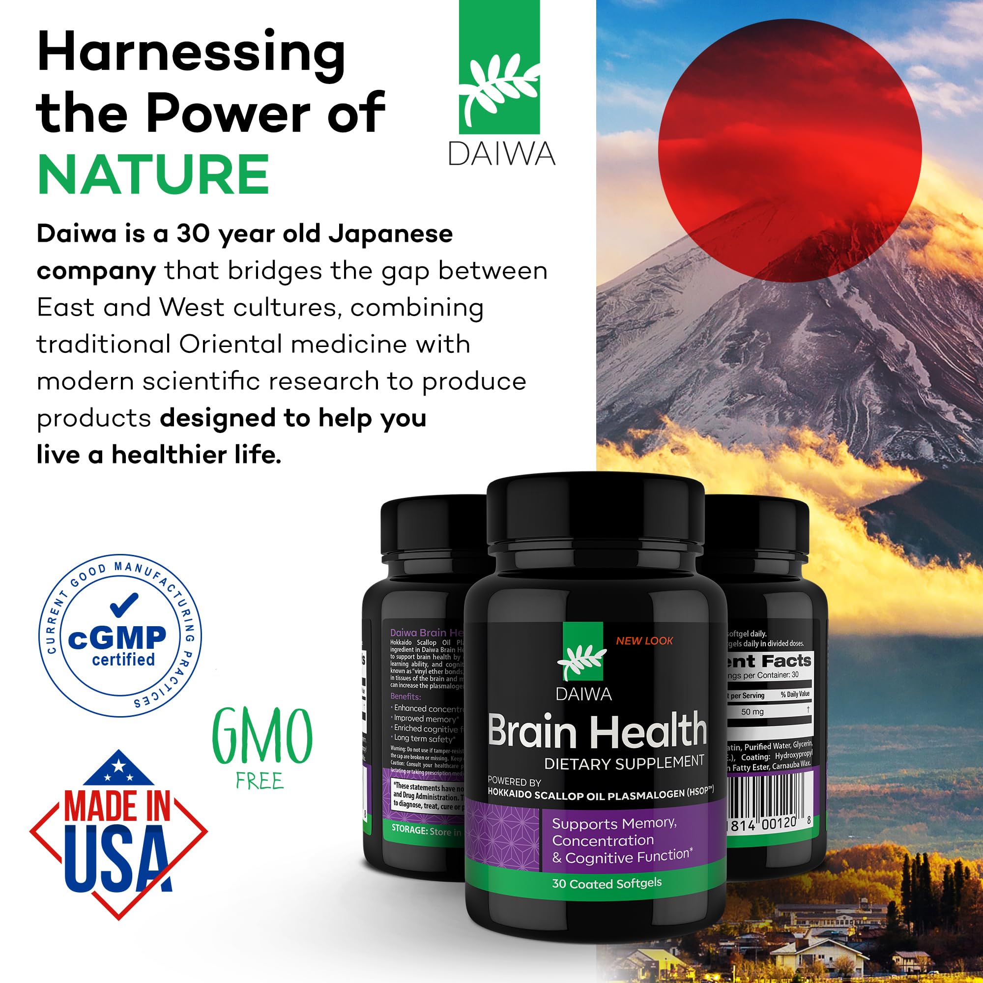 daily brain health regimen