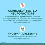 daily brain health support gummies