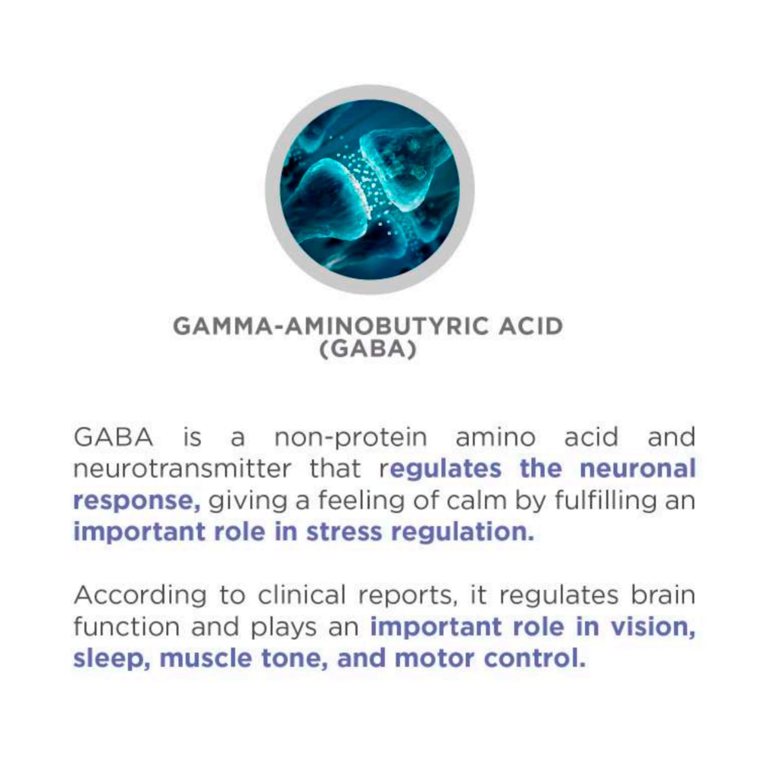 daily brain health vitamins