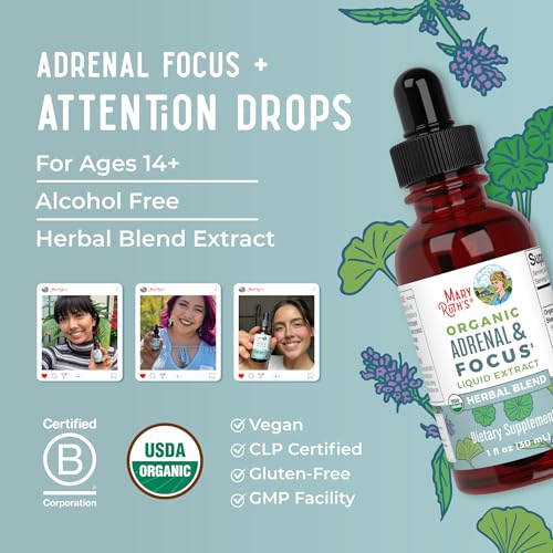 daily brain health with ginkgo biloba