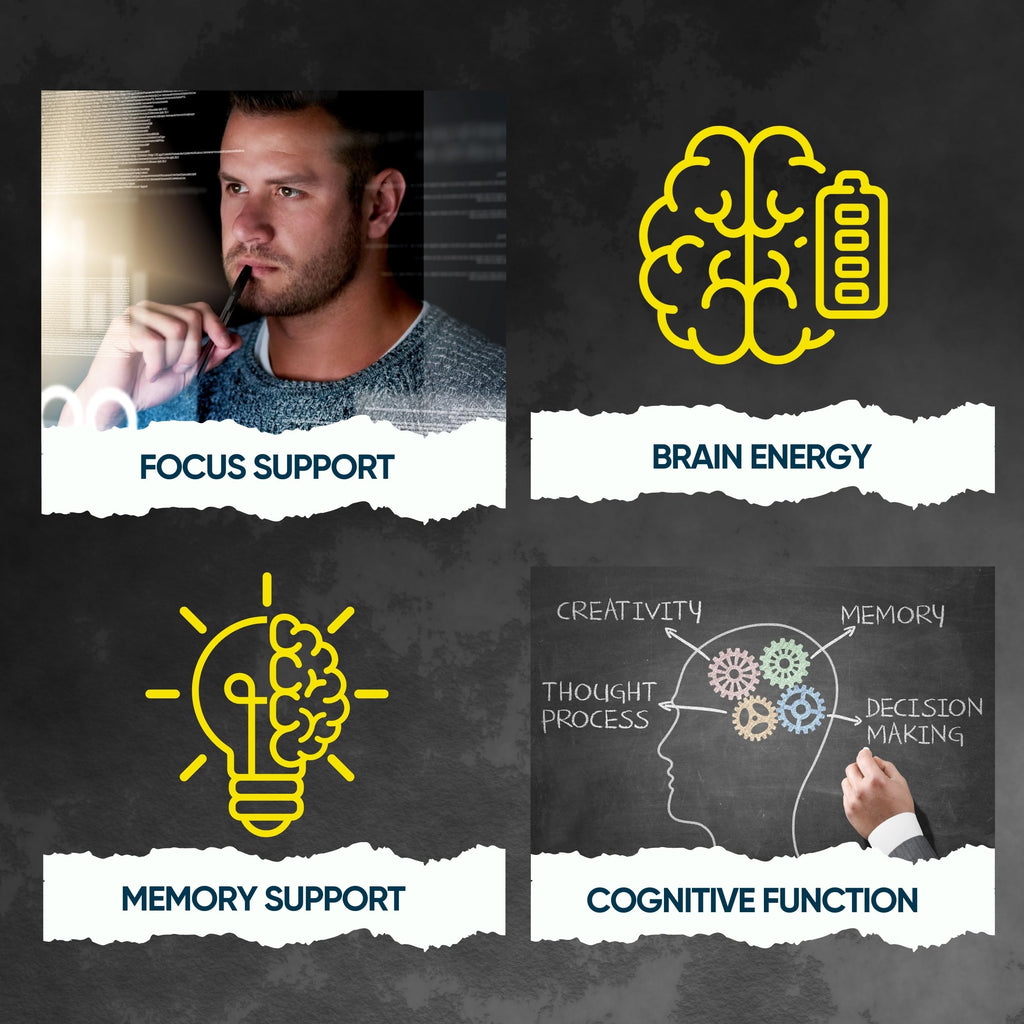 daily brain supplement with ginkgo biloba