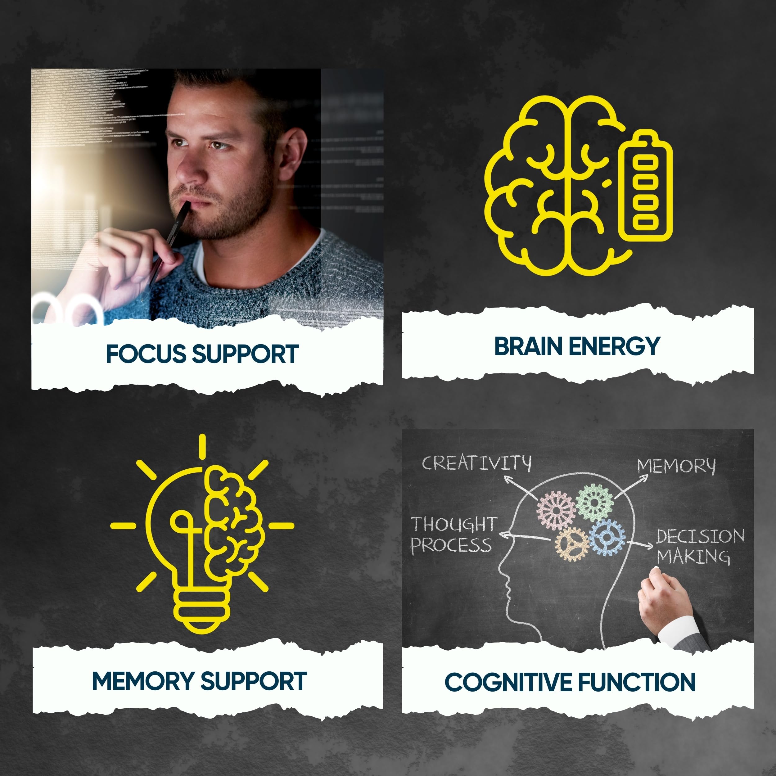 daily brain supplement with ginkgo biloba