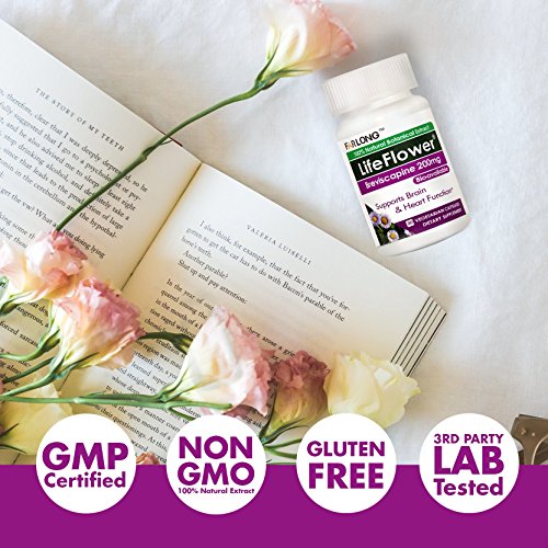daily brain support vitamin supplement