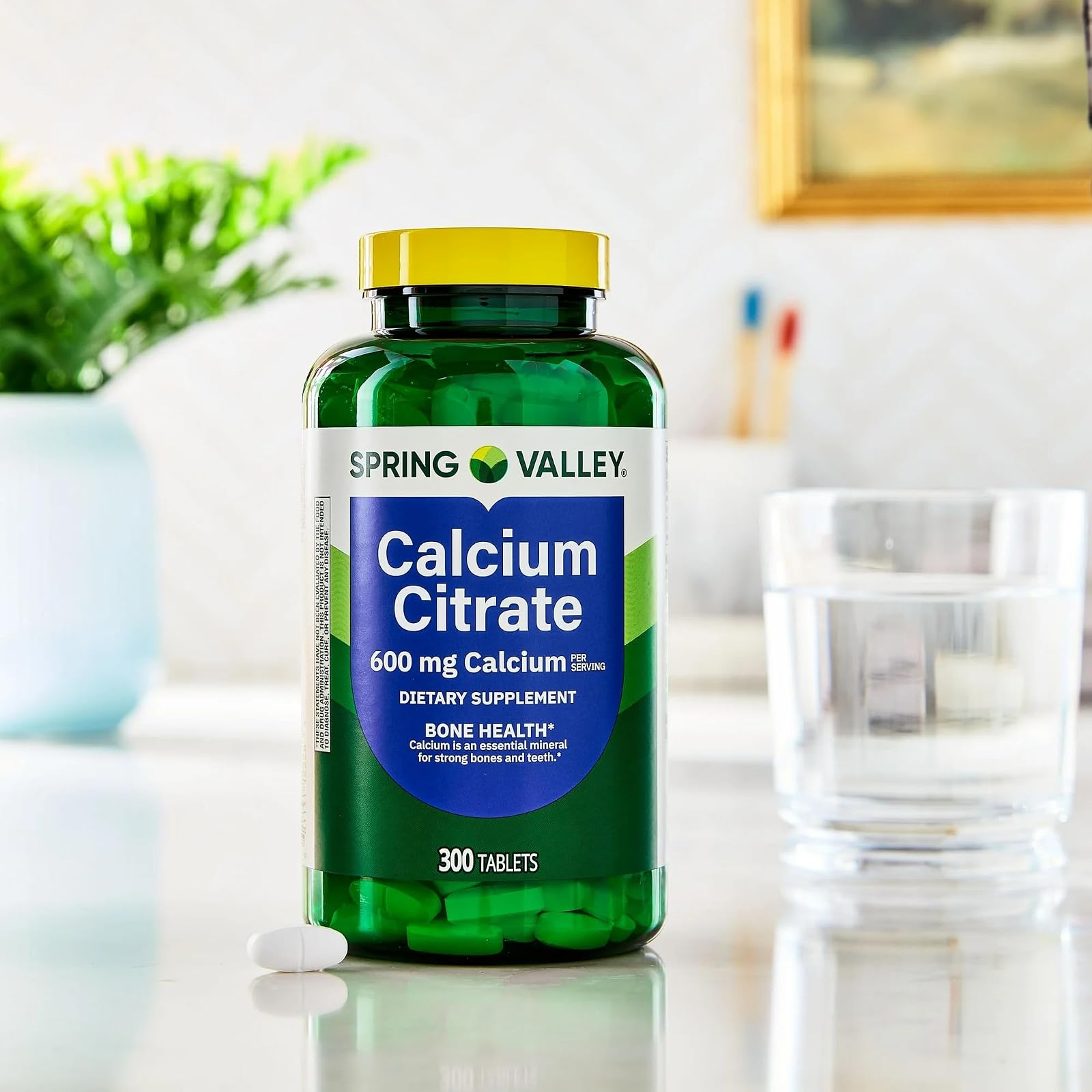 Daily calcium support with 300 tablets
