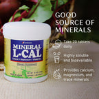 Daily calcium support with Vitamin D3