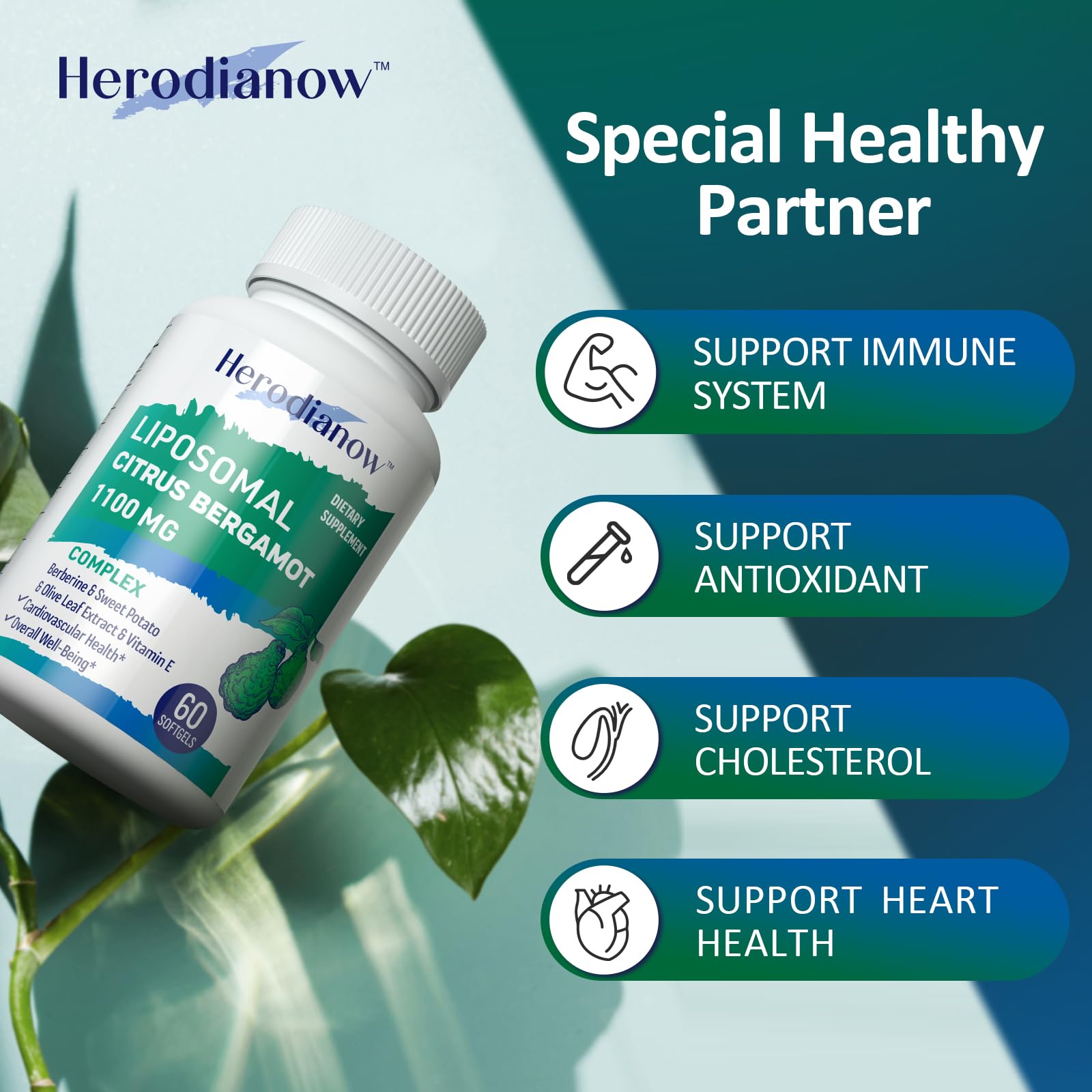 Daily cholesterol support vitamins