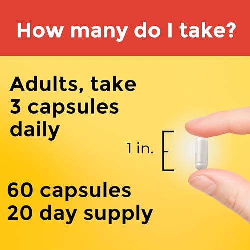 daily choline for improved mood stability