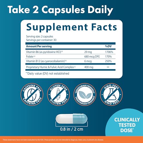 daily cognitive support for students