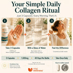 Daily collagen supplement for wellness