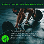 daily coq10 for overall wellness