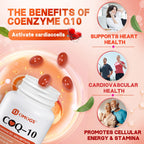 daily coq10 supplement for vitality