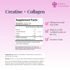 Daily creatine for fitness enthusiasts