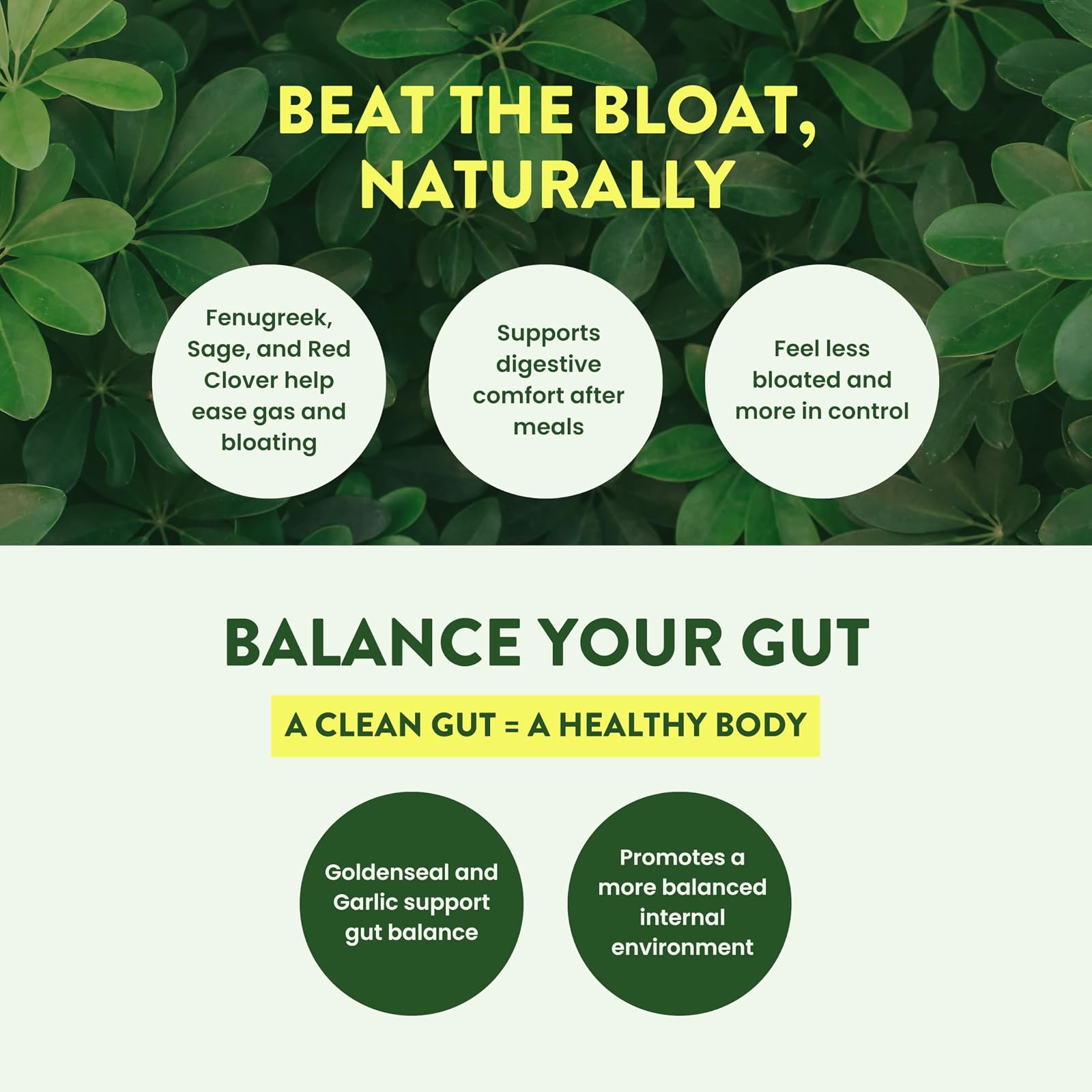daily detox for overall wellness