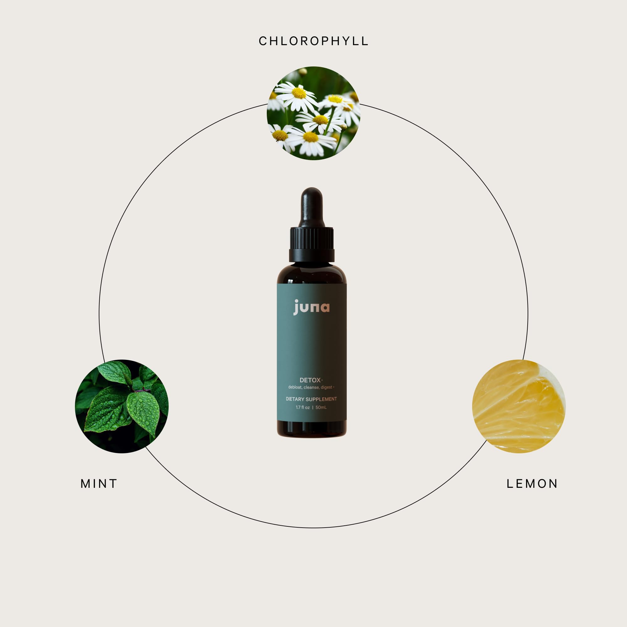 daily detox with chlorophyll drops
