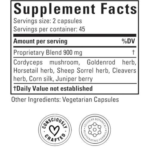 daily detox with herbal mushrooms